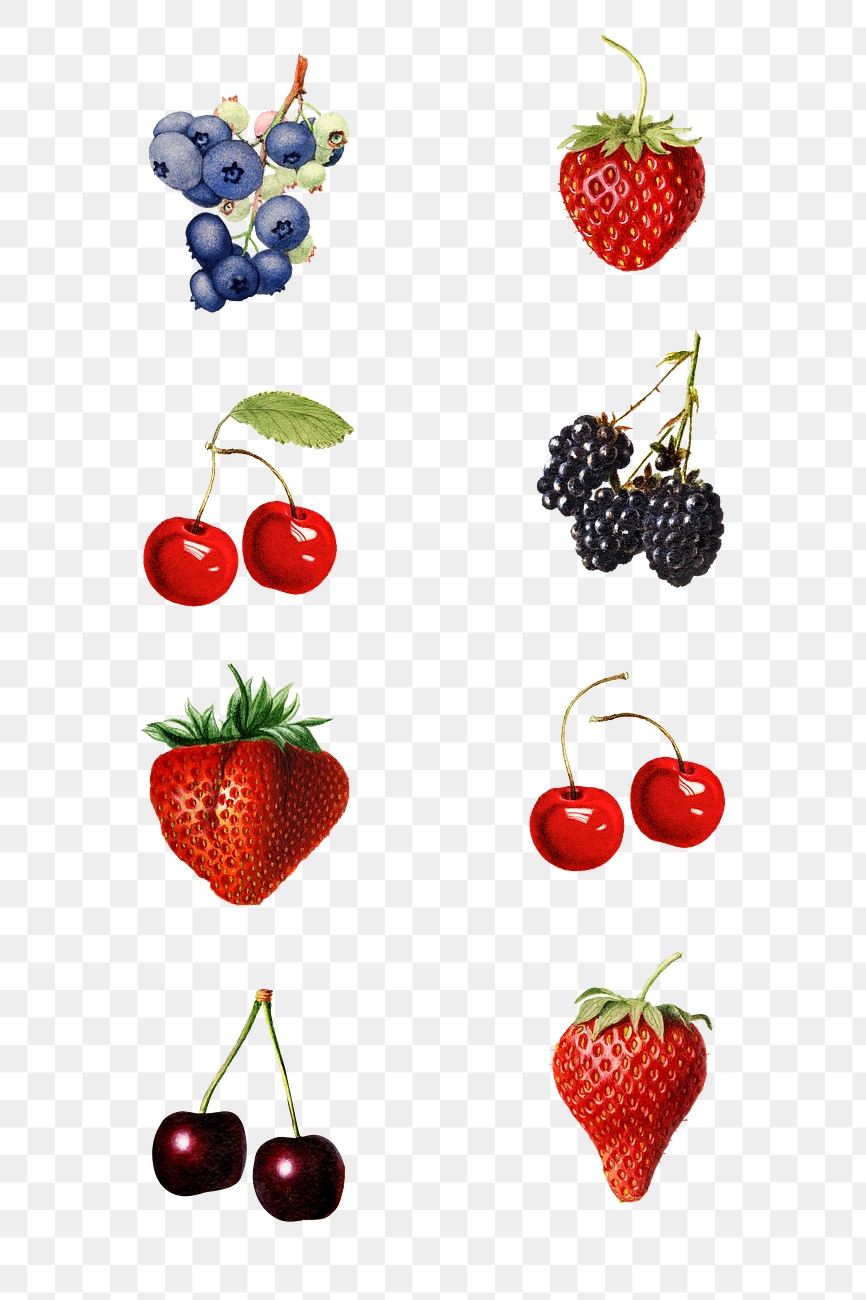 Detailed mixed berry drawings set | Premium PNG - rawpixel