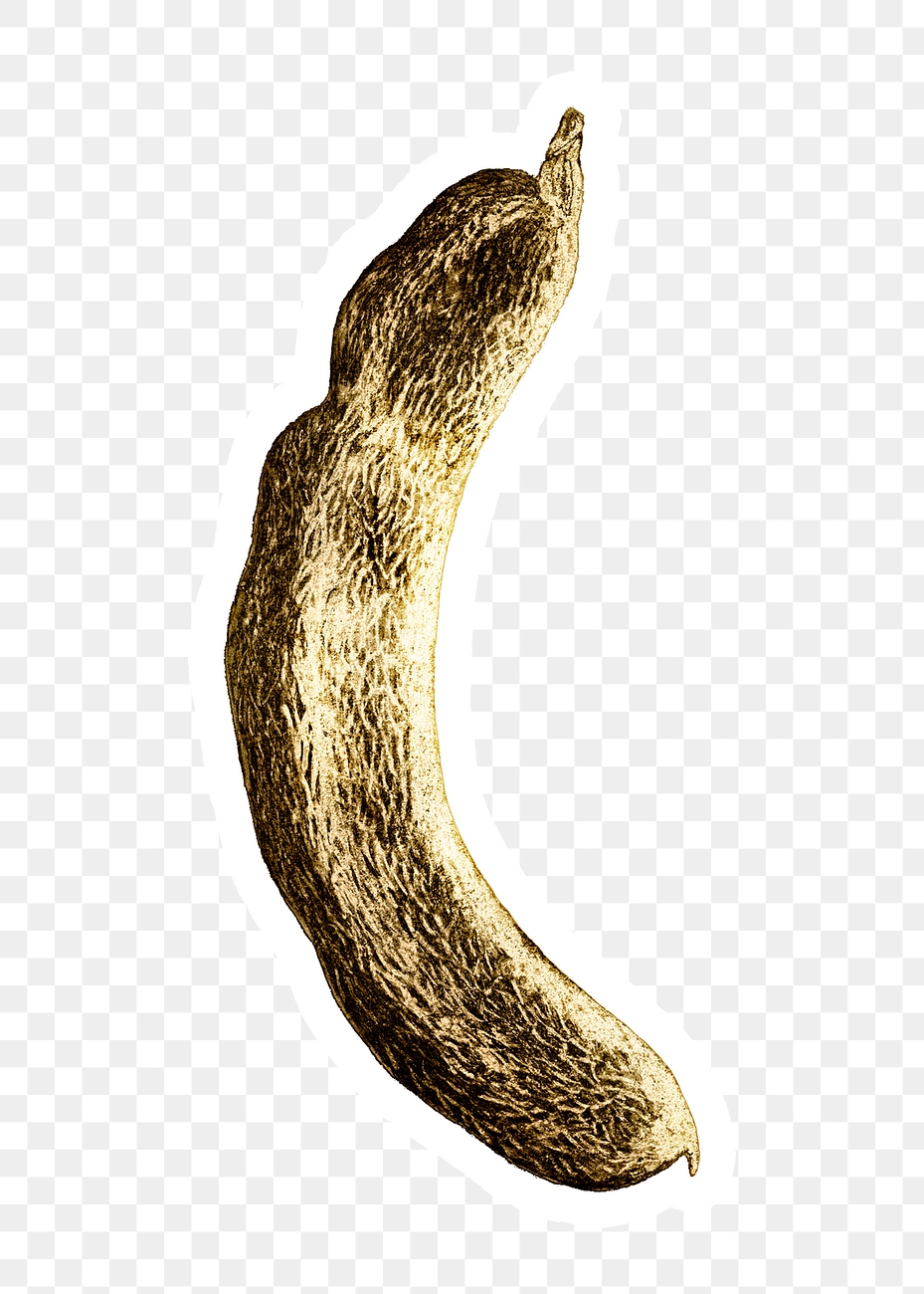 Gold tamarind sticker white border | Premium PNG Sticker - rawpixel