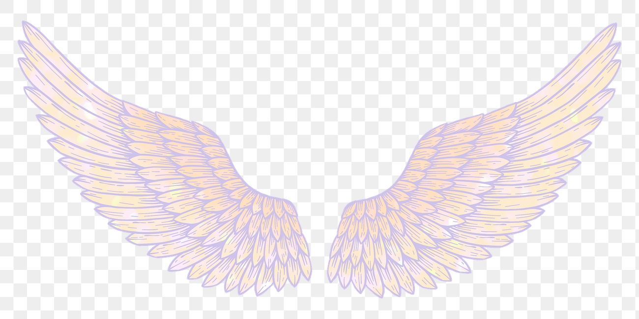 Creamy angel wings sticker overlay | Premium PNG Sticker - rawpixel