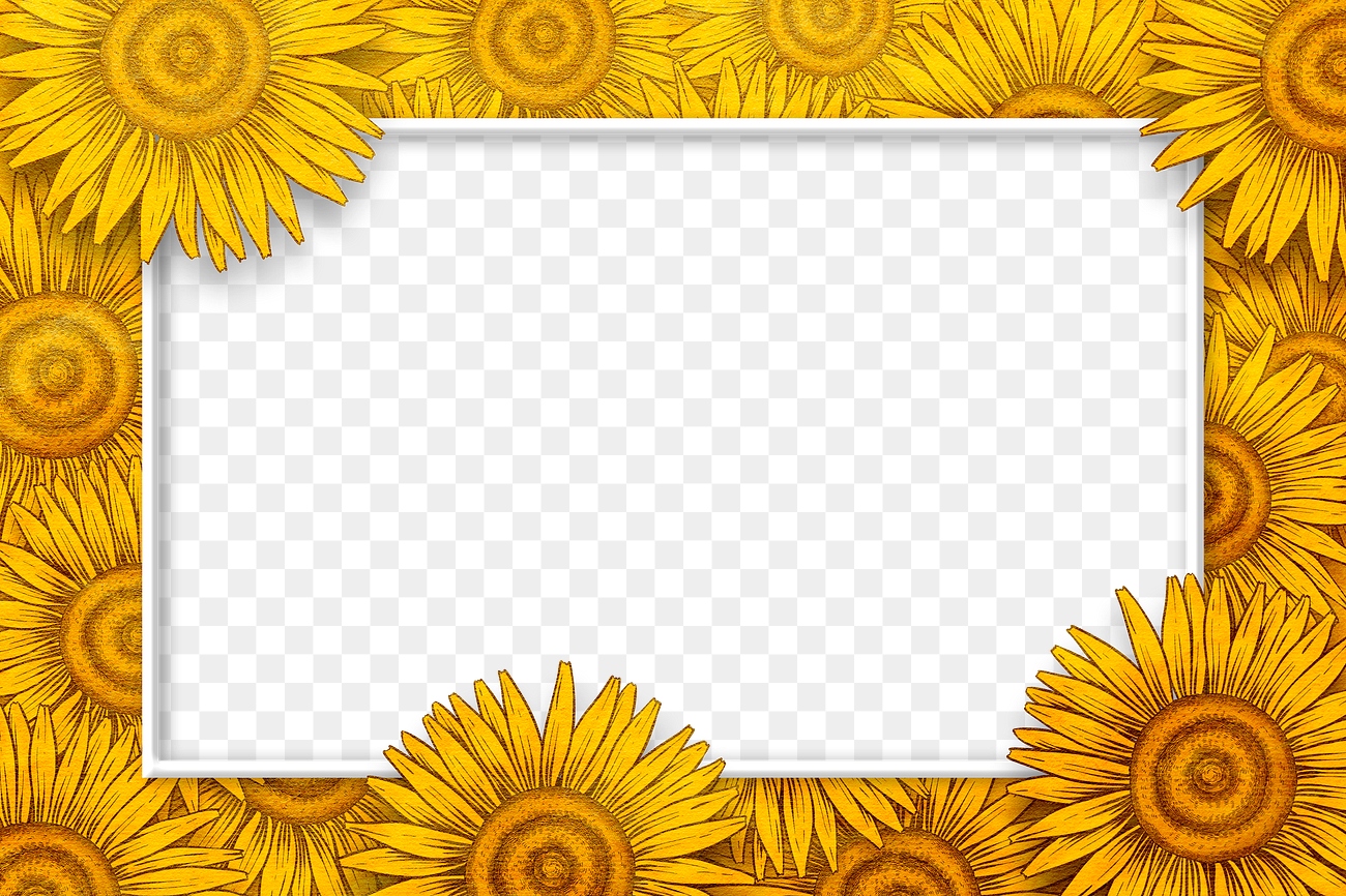 Rectangle blooming sunflower frame design | Premium PNG - rawpixel