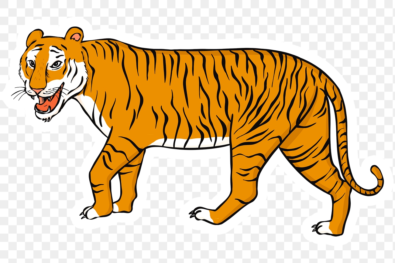 Scary wildlife tiger png sticker | Premium PNG Sticker - rawpixel