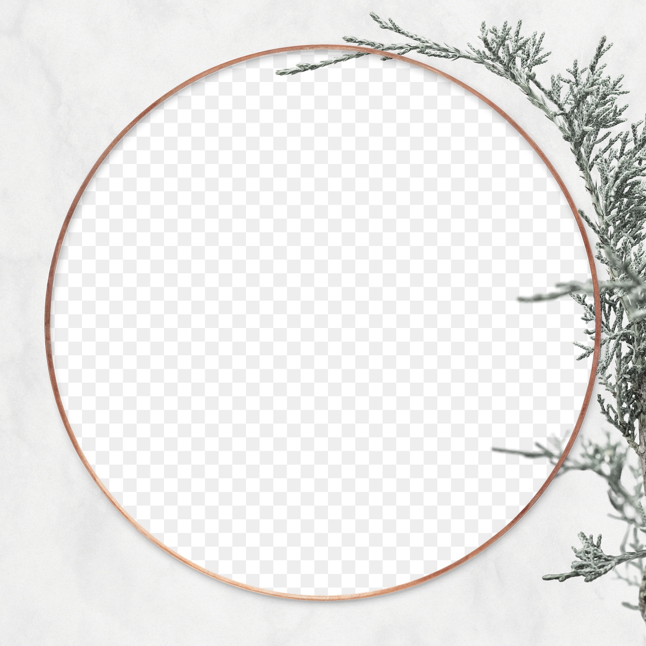 Png pine tree branch frame | Premium PNG - rawpixel