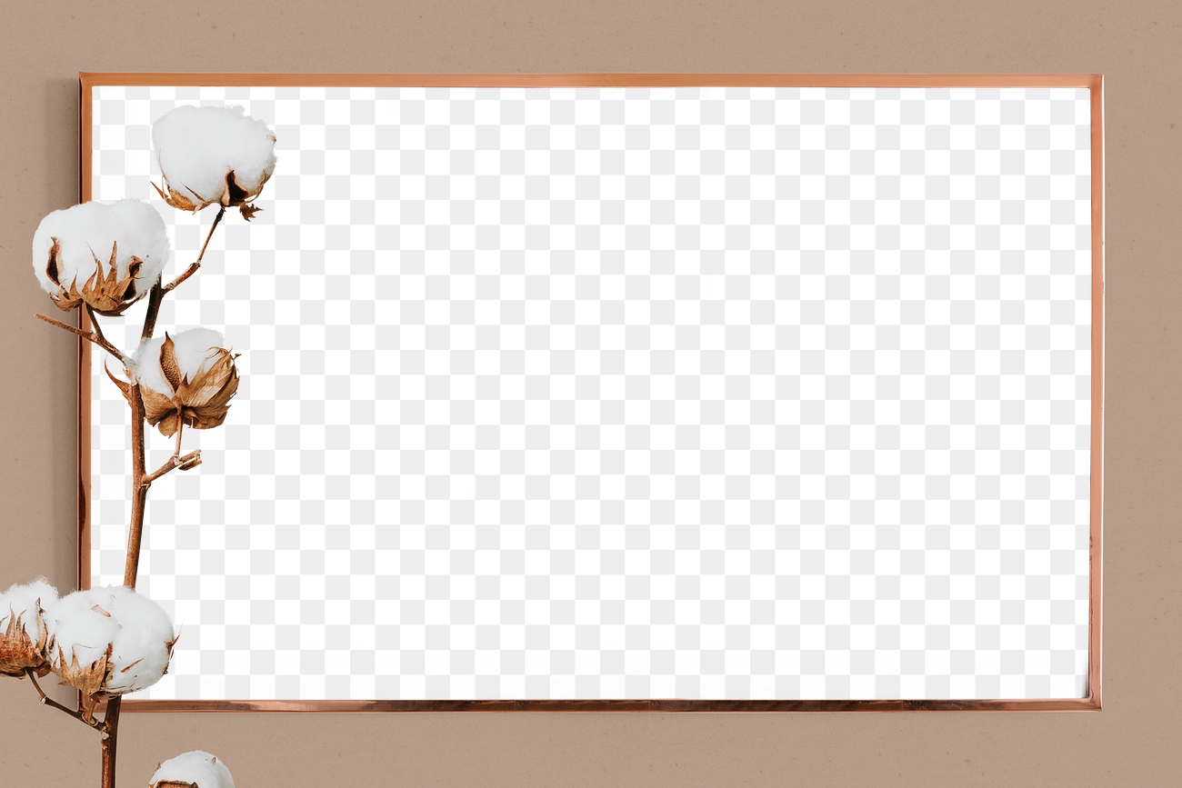 PNG cotton frame botanical design | Free PNG - rawpixel