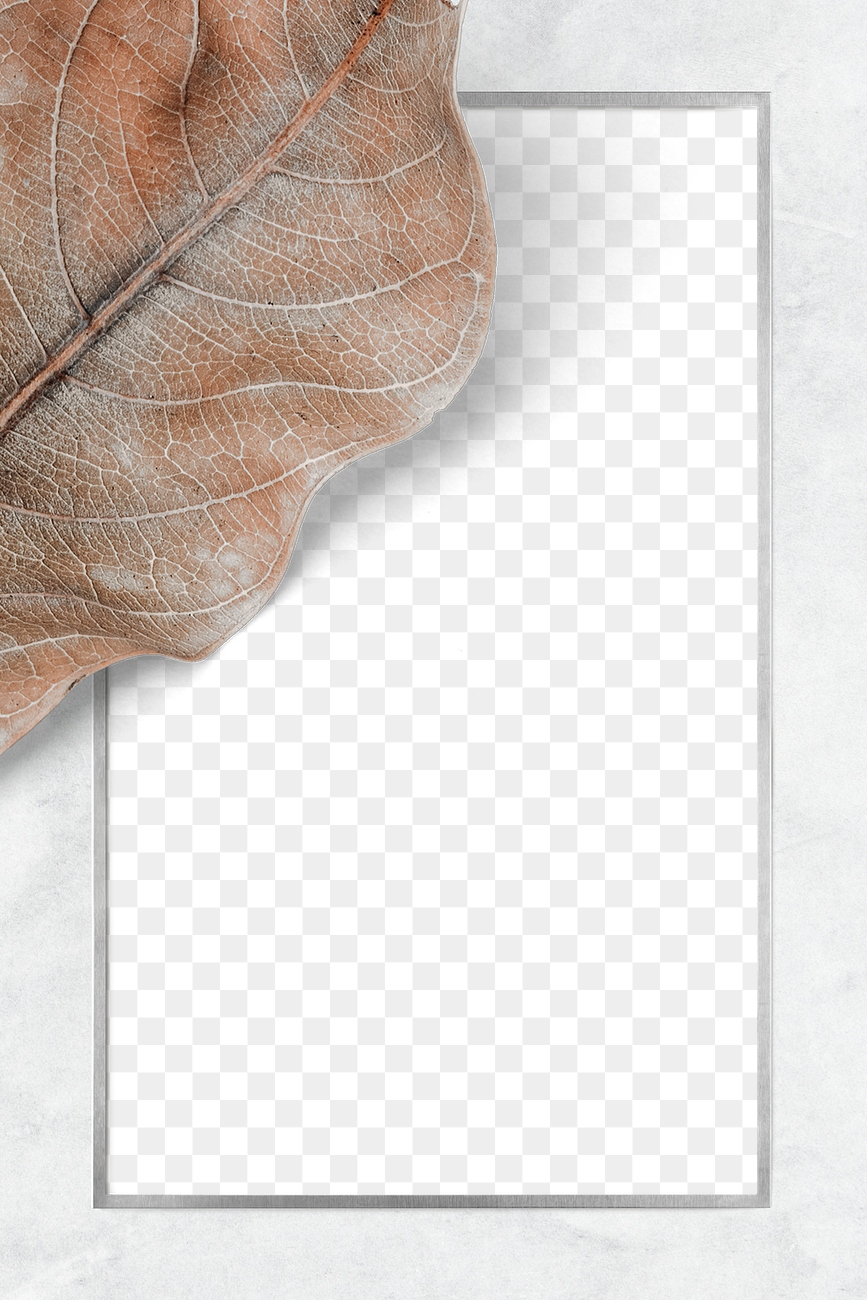 Earth tone floral frame png | Premium PNG - rawpixel