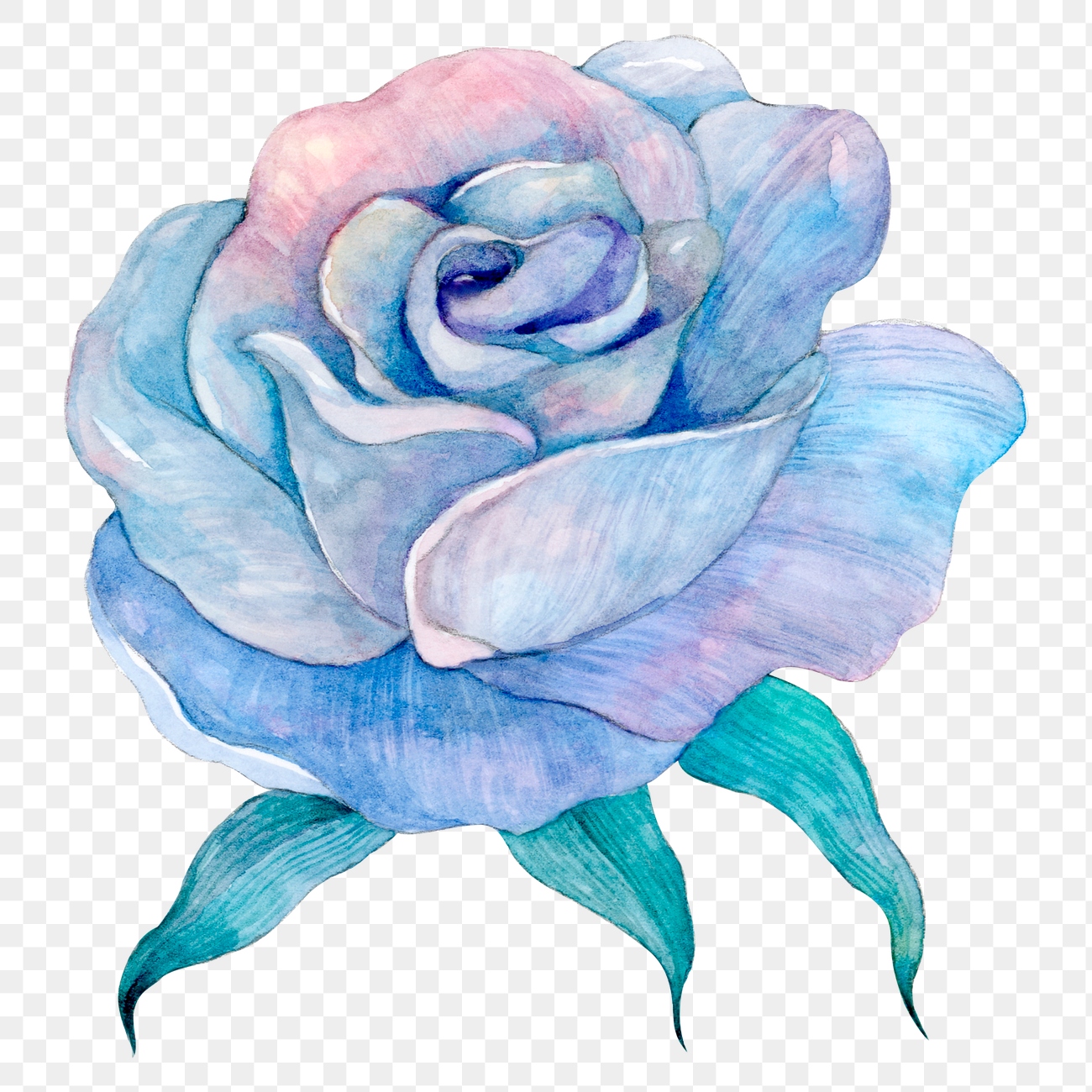 PNG blue watercolor rose flower | Premium PNG Sticker - rawpixel