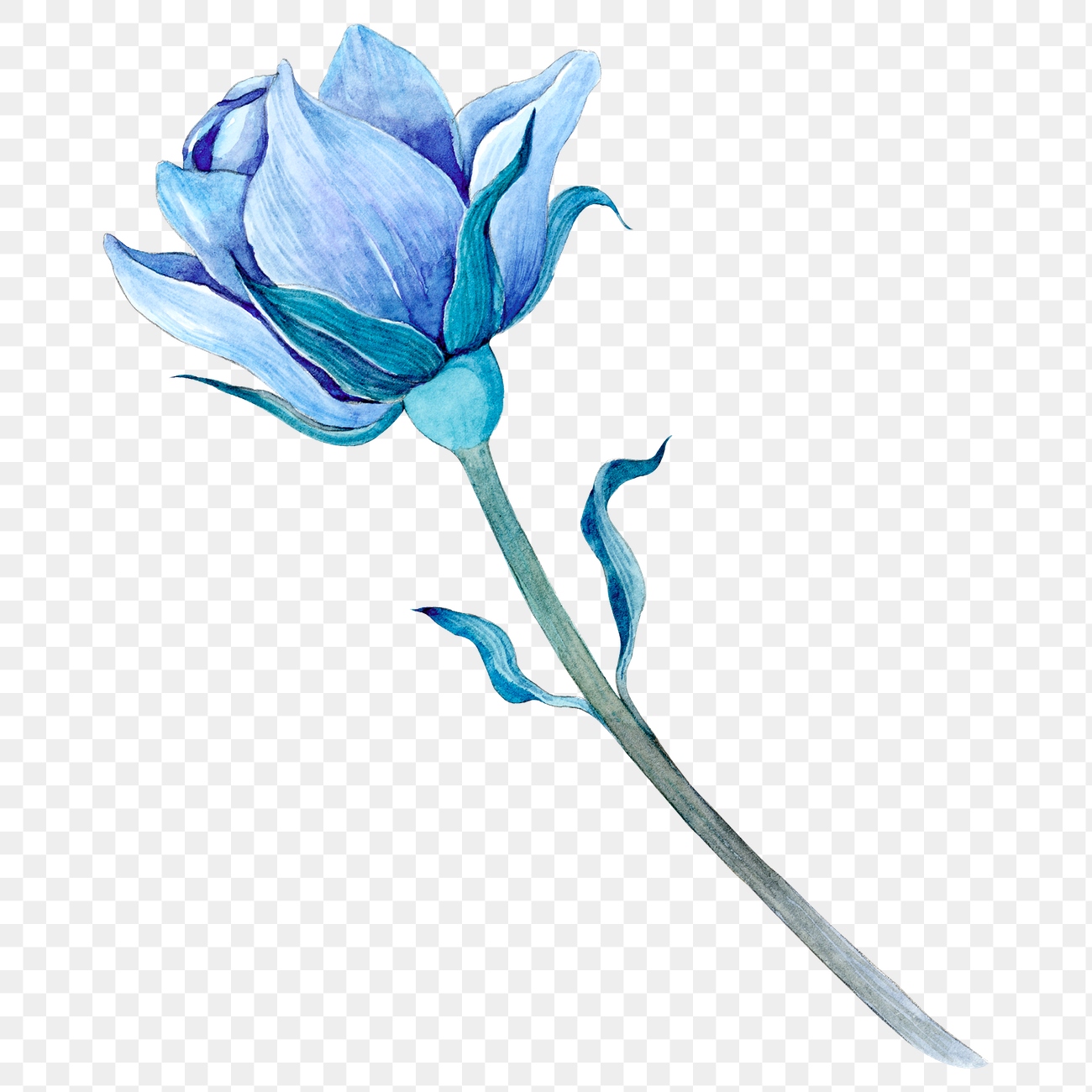 PNG blue watercolor rose flower | Premium PNG Sticker - rawpixel