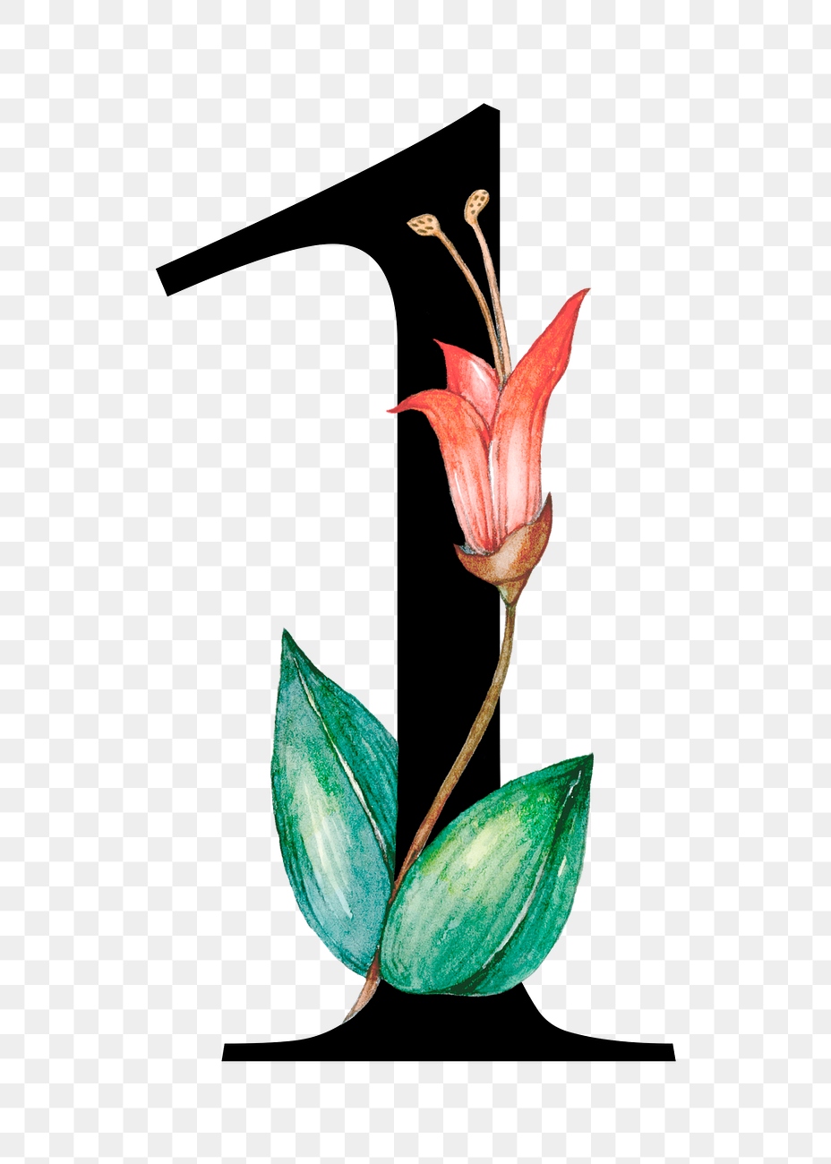 Png number 1 font floral | Premium PNG Sticker - rawpixel
