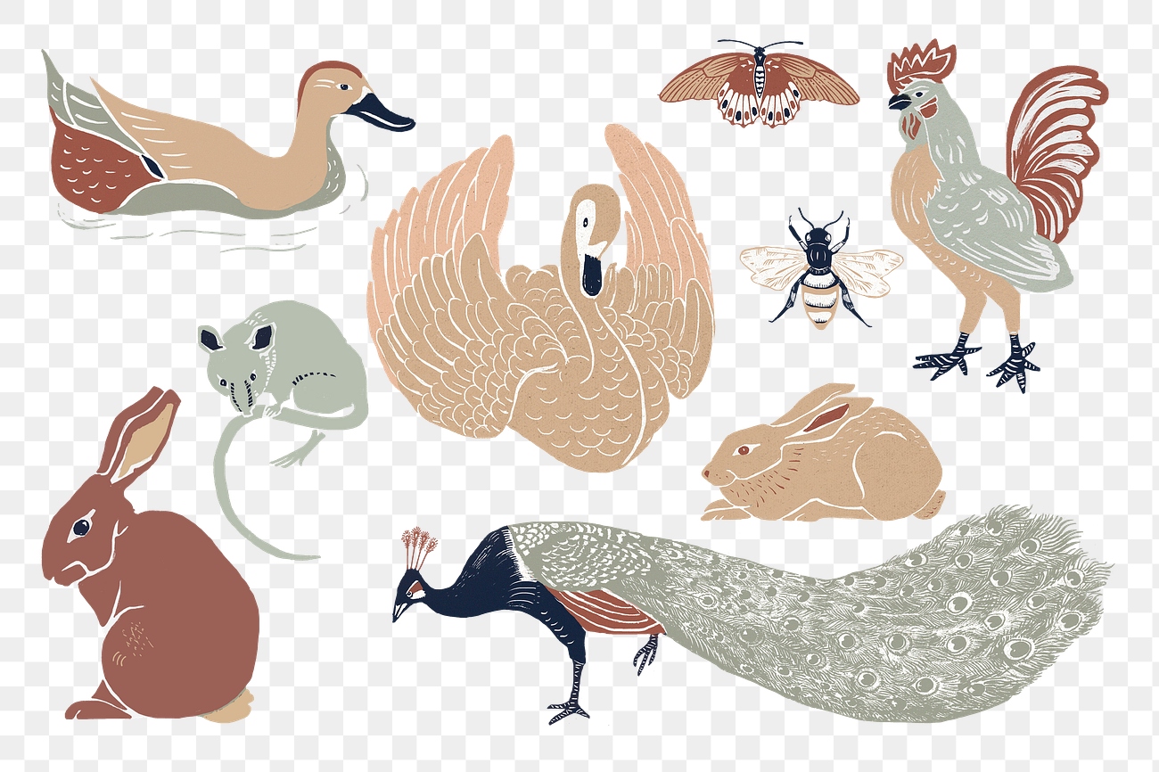 Vintage wild animals drawing png | Free PNG - rawpixel