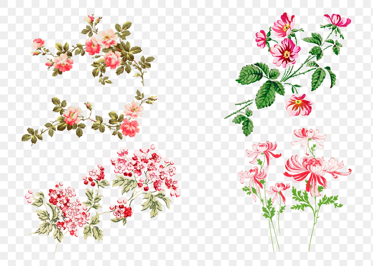 Png Vintage Sticker Colorful Flowers | Premium Png - Rawpixel