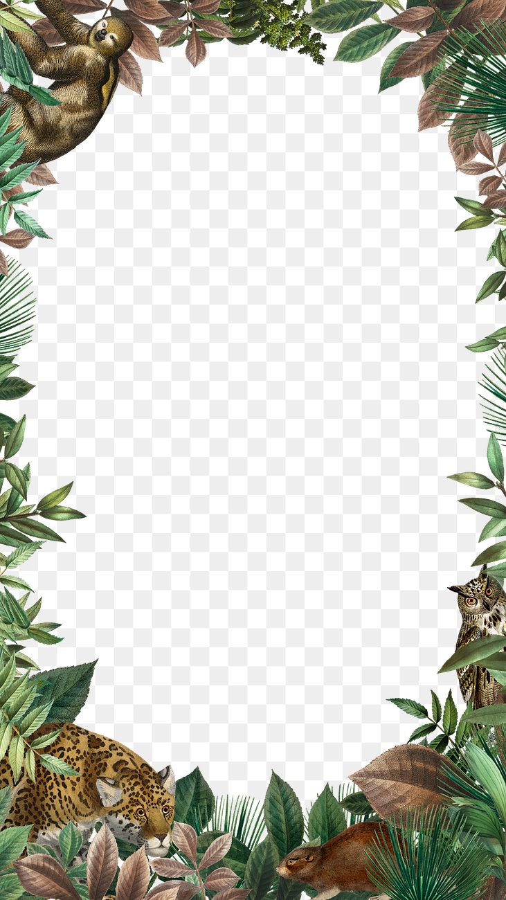 Animals forest border png social | Premium PNG - rawpixel