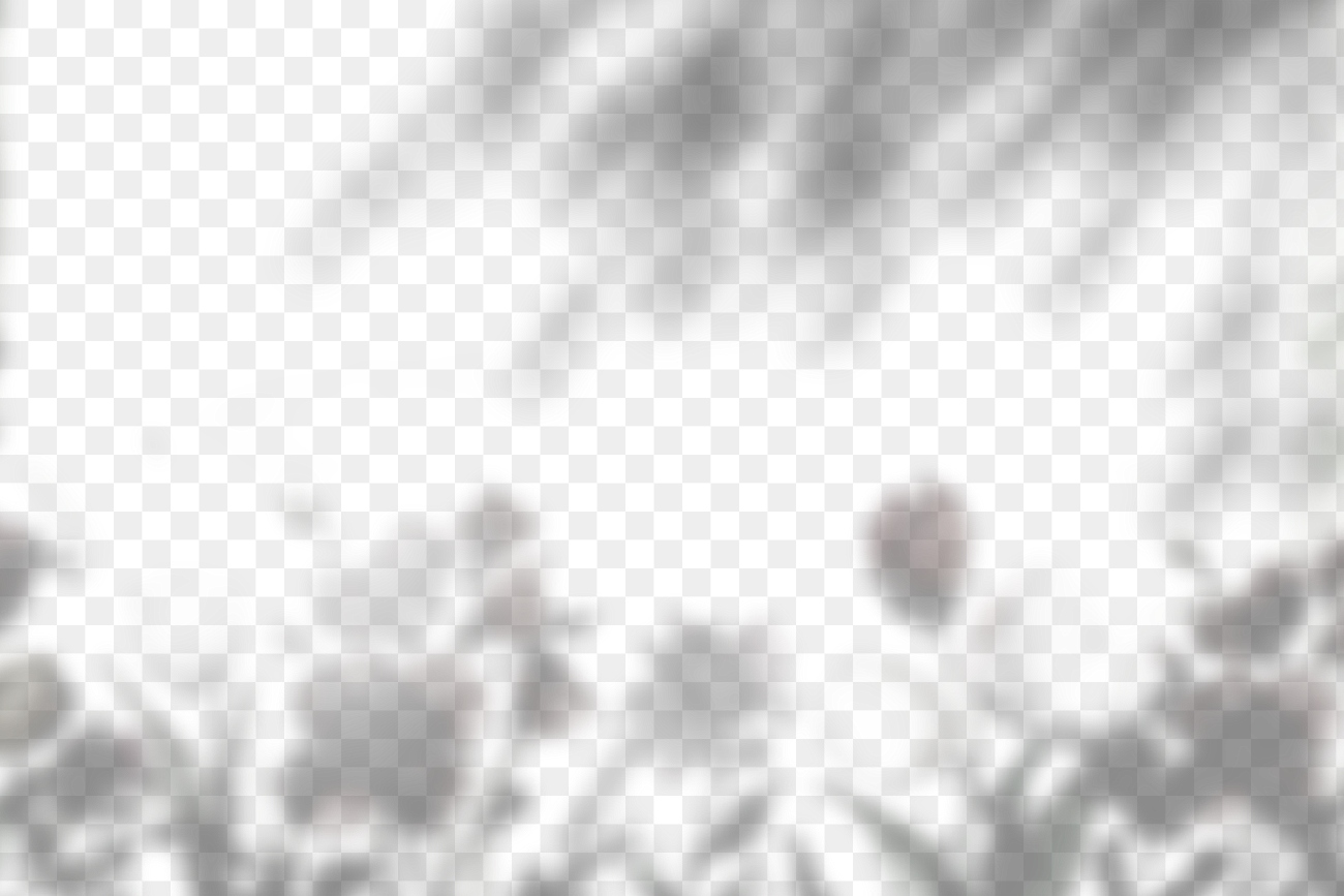 Png plant shadow background, botanical | Premium PNG - rawpixel
