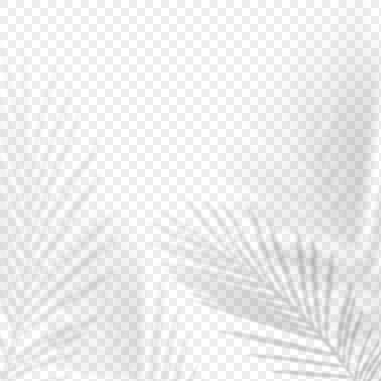 Png palm leaf shadow background, | Premium PNG - rawpixel