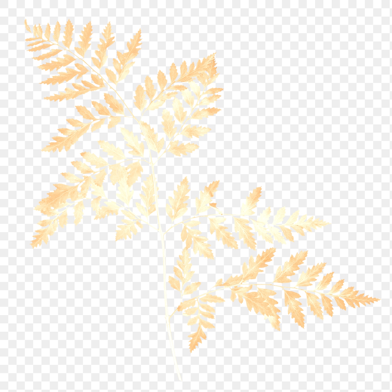 Gold leatherleaf fern leaf png | Premium PNG Sticker - rawpixel