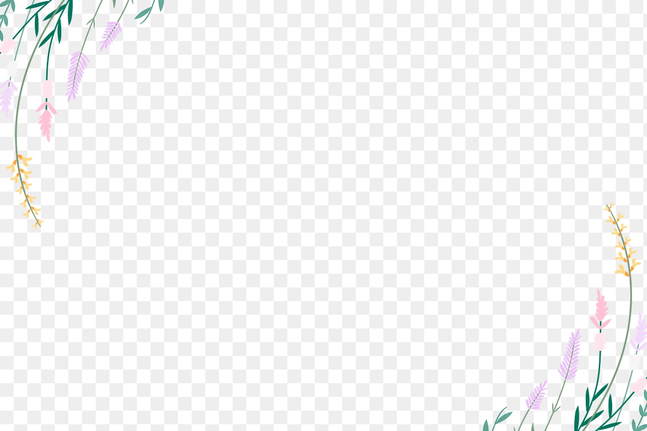 Png frame with wildflower border | Premium PNG - rawpixel