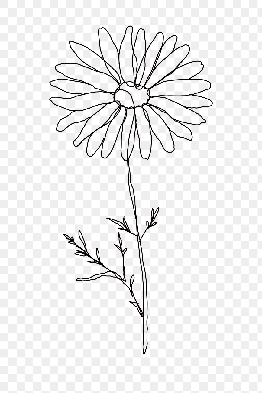Png flower monoline art transparent | Free PNG Sticker - rawpixel