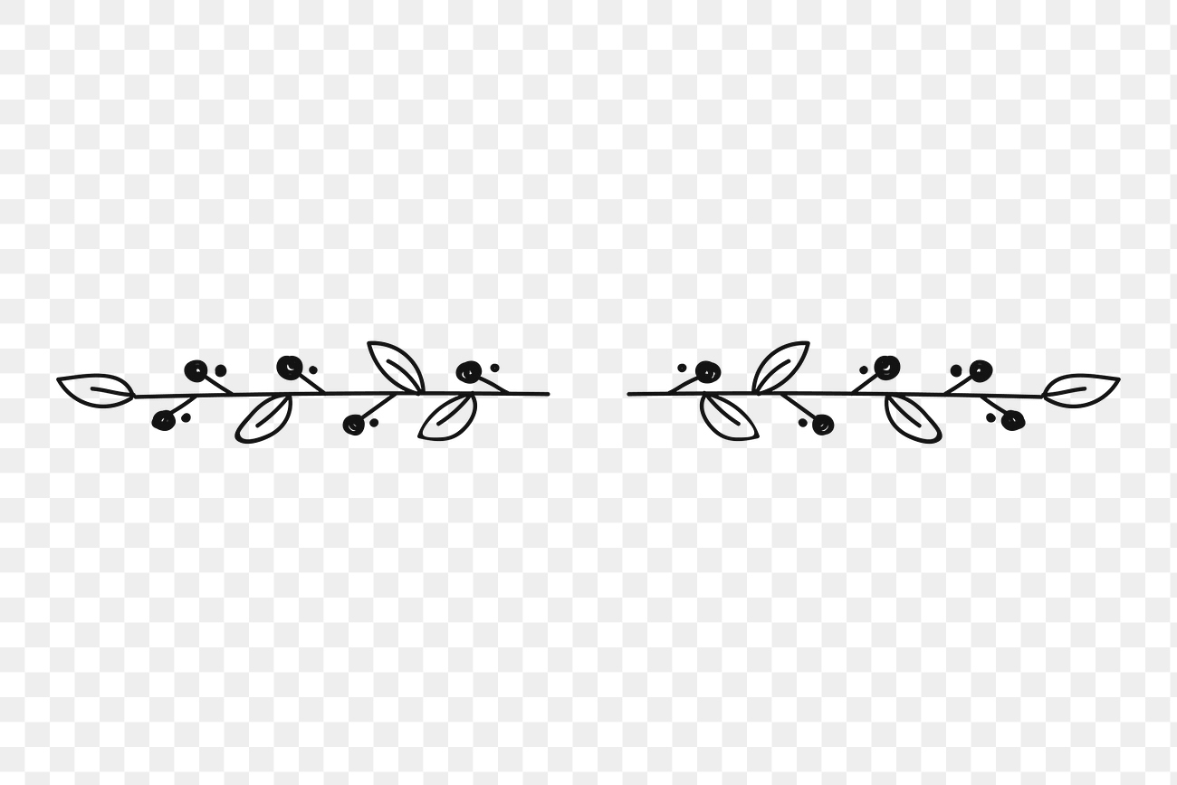 Botanical divider png, doodle clipart | Premium PNG Sticker - rawpixel