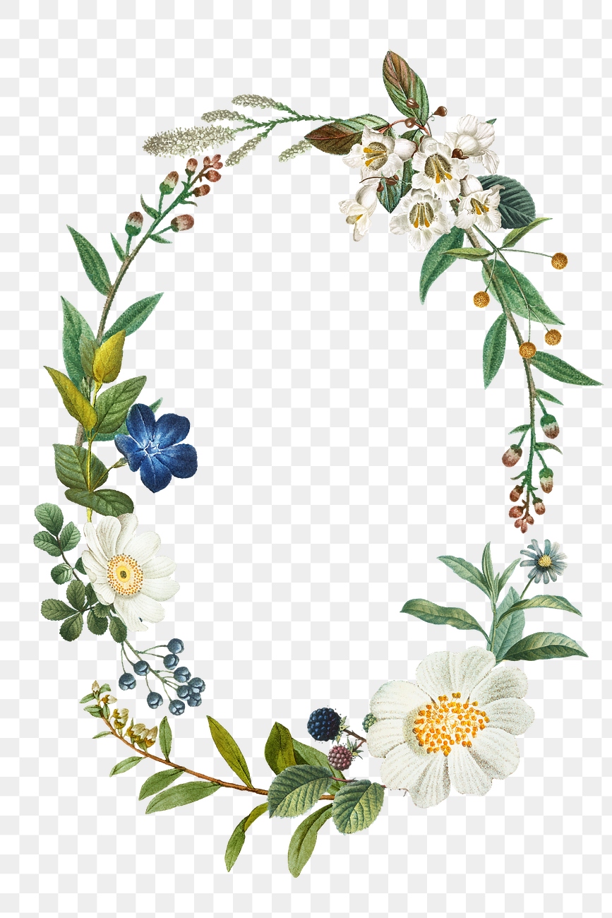 Vintage botanical frame png sticker | Premium PNG - rawpixel
