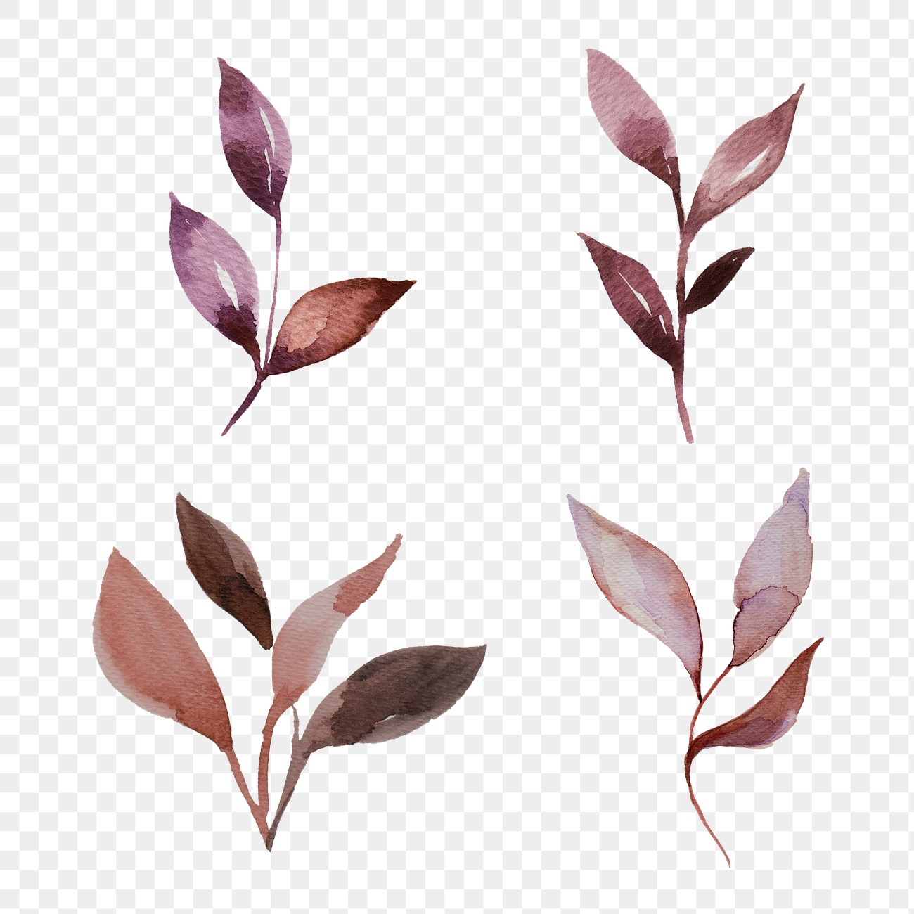 Hand painted watercolor leaves transparent | Premium PNG - rawpixel