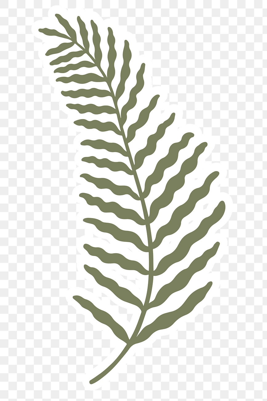 Fern branch transparent png | Premium PNG Sticker - rawpixel