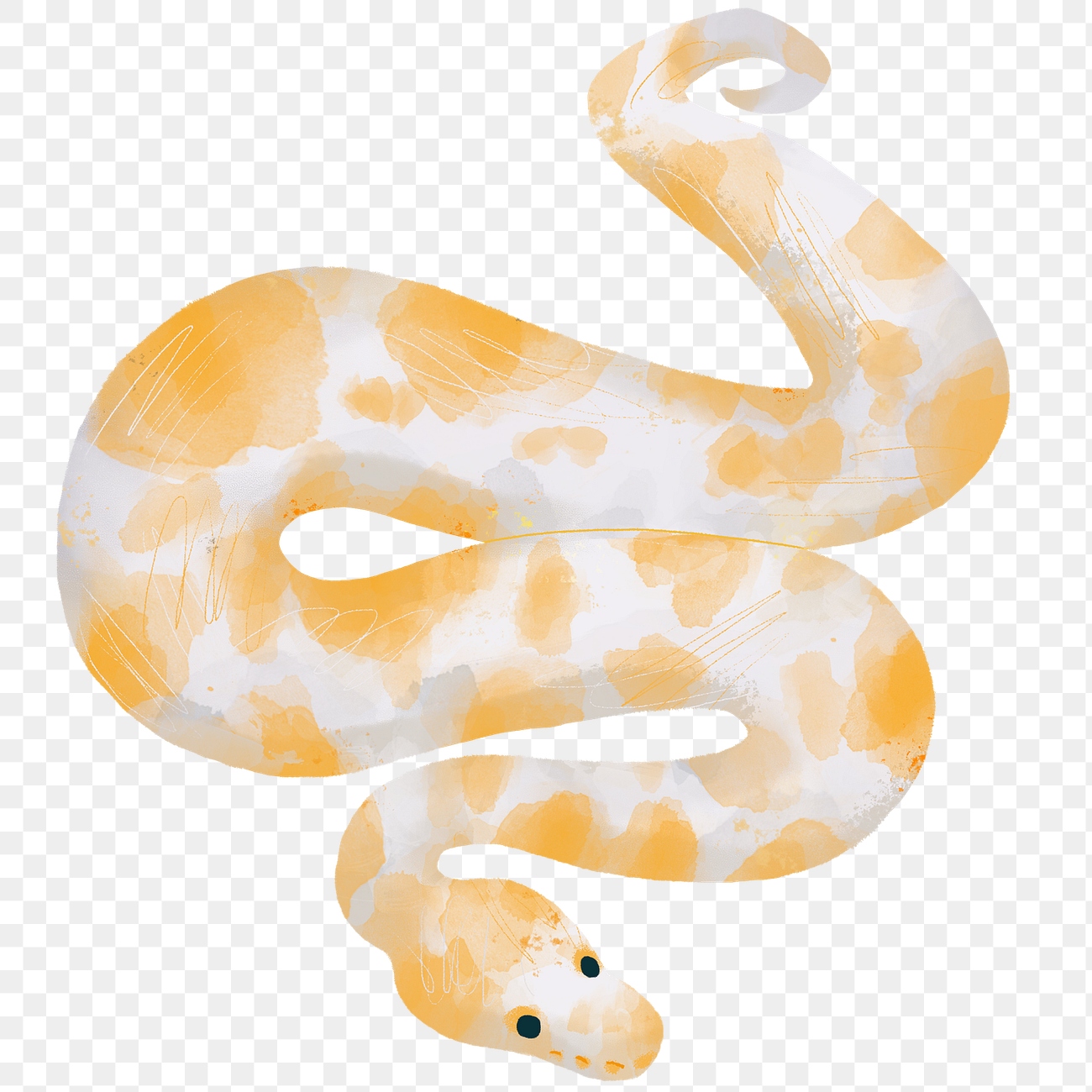 Ball Python watercolor transparent png | Free PNG Sticker - rawpixel