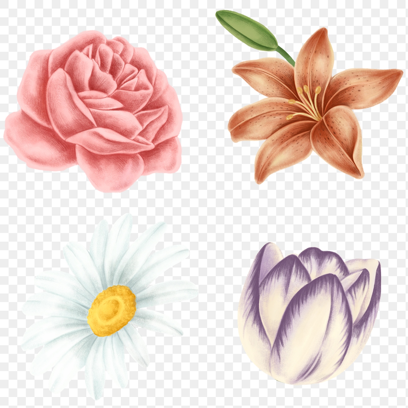Vintage flower set transparent png | Premium PNG - rawpixel