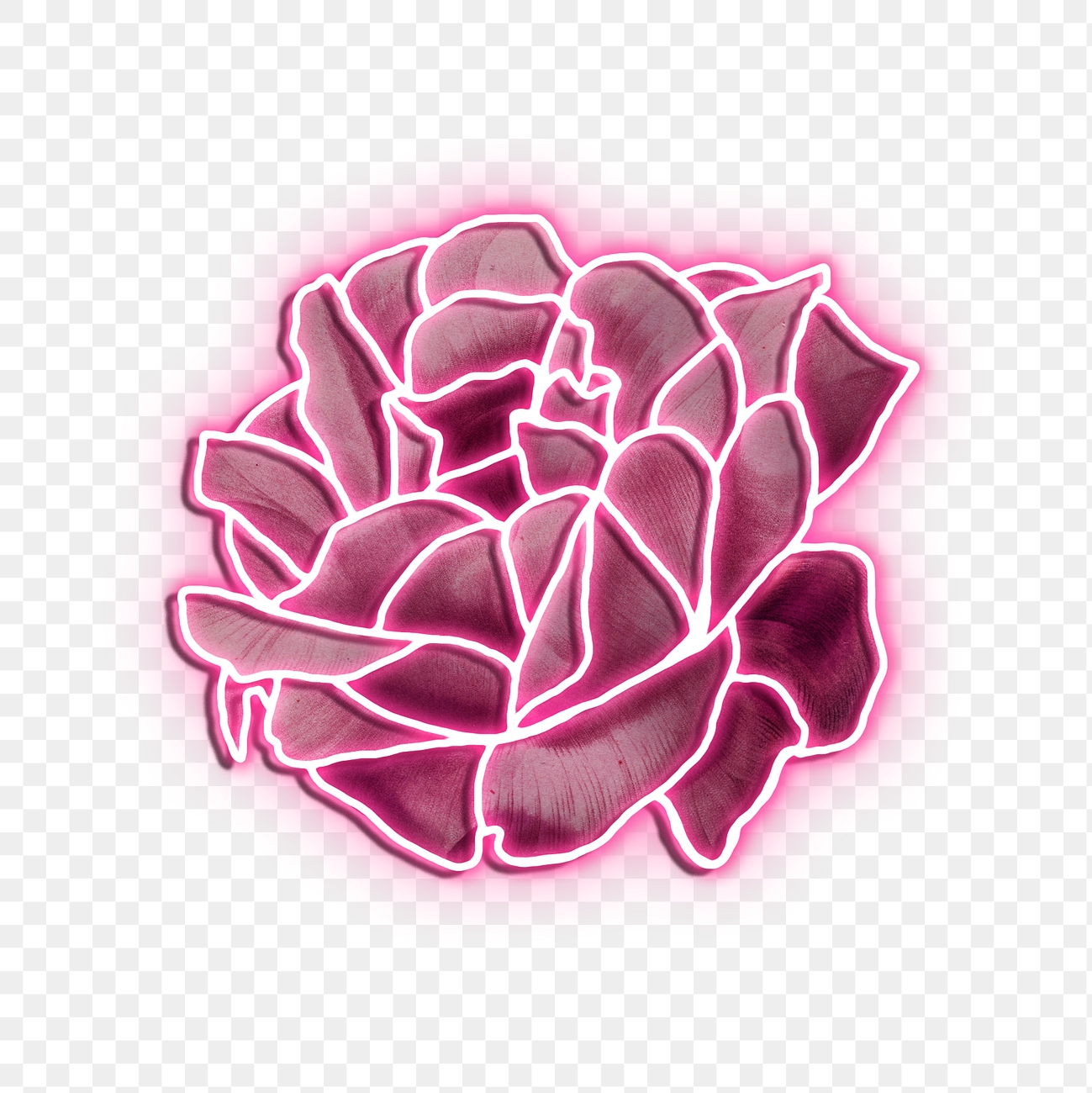 Neon pink rose transparent png | Premium PNG Sticker - rawpixel