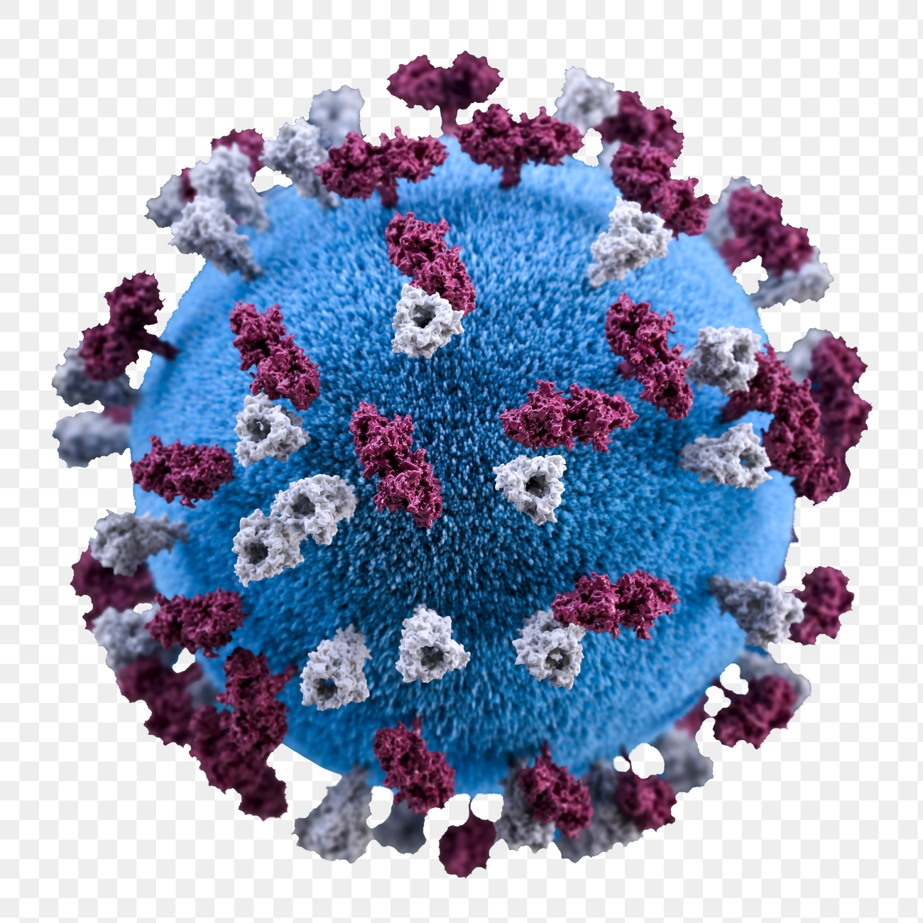 A 3D illustration of a spherical-shaped, measles virus particle that w ...