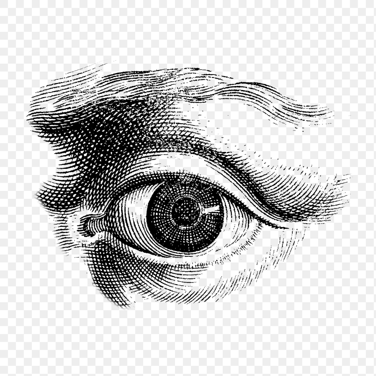 Human eye monochrome design element | Free PNG Sticker - rawpixel
