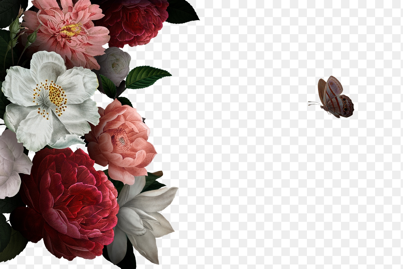 Blooming roses banner | Free stock illustration | High Resolution graphic