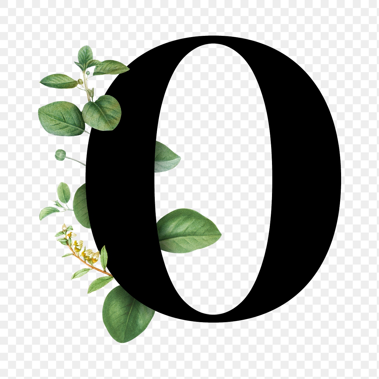 Botanical font letter O