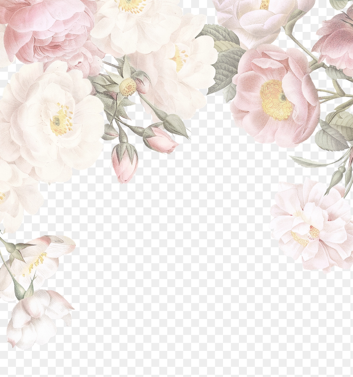 Feminine flowers border | Free stock illustration | High Resolution graphic