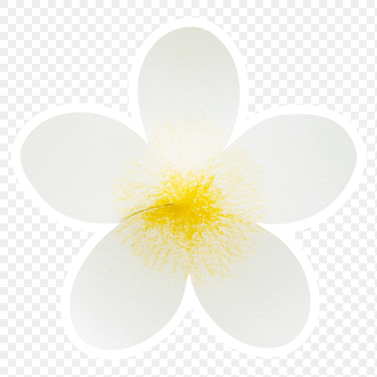 Jasmine sticker paper craft png | Premium PNG Sticker - rawpixel