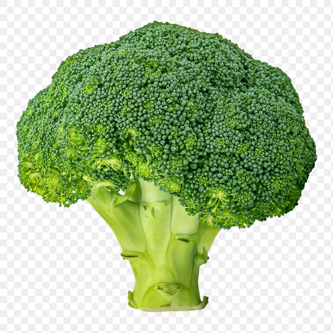 Broccoli png clipart, organic vegetable | Free PNG - rawpixel