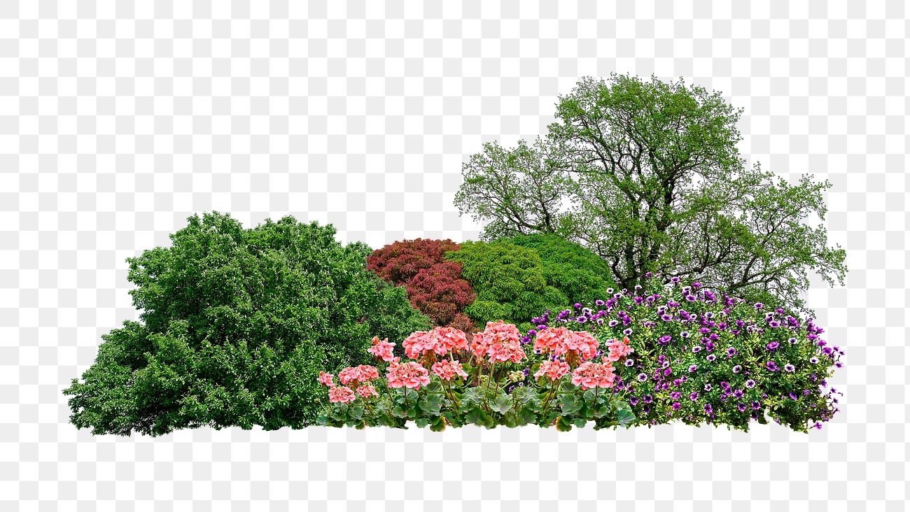 Garden landscape png sticker transparent | Premium PNG - rawpixel