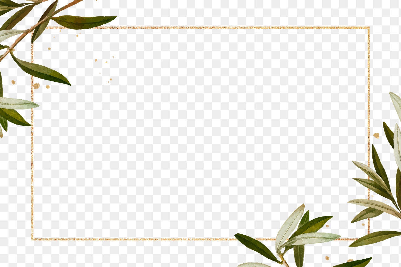 Olive branches frame png hand drawn border… | Free stock illustration ...