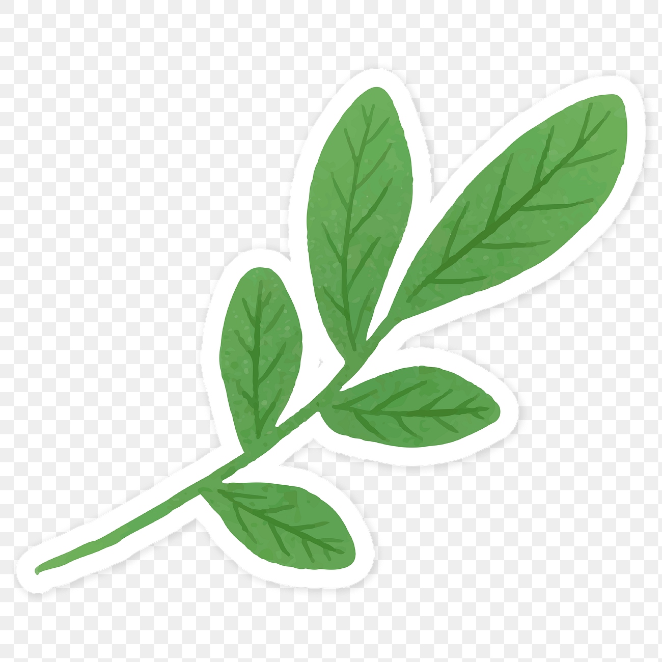 Green leaves sticker transparent png | Free PNG Sticker - rawpixel