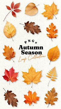 Autumn maple leaf set, editable | Premium Editable Design - rawpixel