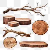 Tree trunk & stick png | Premium PNG - rawpixel