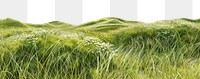 PNG Lush green grassy landscape | Free PNG - rawpixel
