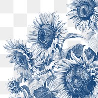 PNG Blue sunflowers botanical illustration | Free PNG - rawpixel