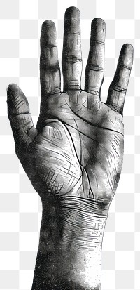 PNG Detailed monochrome hand illustration | Free PNG - rawpixel
