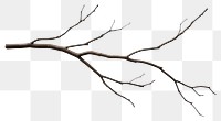 PNG Minimalist bare tree branch | Premium PNG - rawpixel