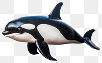PNG Baby orca animal mammal | Free PNG - rawpixel