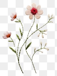 PNG Embroidery pattern flower white | Free PNG - rawpixel