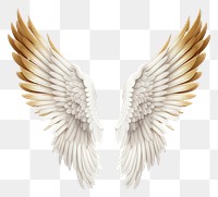 PNG Angel wings white bird | Free PNG - rawpixel