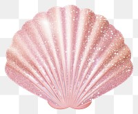 PNG Pink color sea shell | Premium PNG - rawpixel