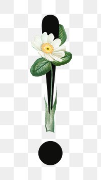 Floral exclamation mark png digital | Free PNG - rawpixel