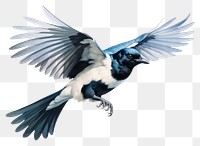 PNG Flying animal magpie bird | Premium PNG - rawpixel