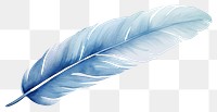 PNG Lightweight softness feather pattern. | Premium PNG - rawpixel