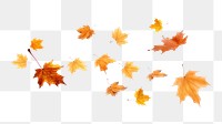Falling maple leaf png, transparent | Free PNG - rawpixel